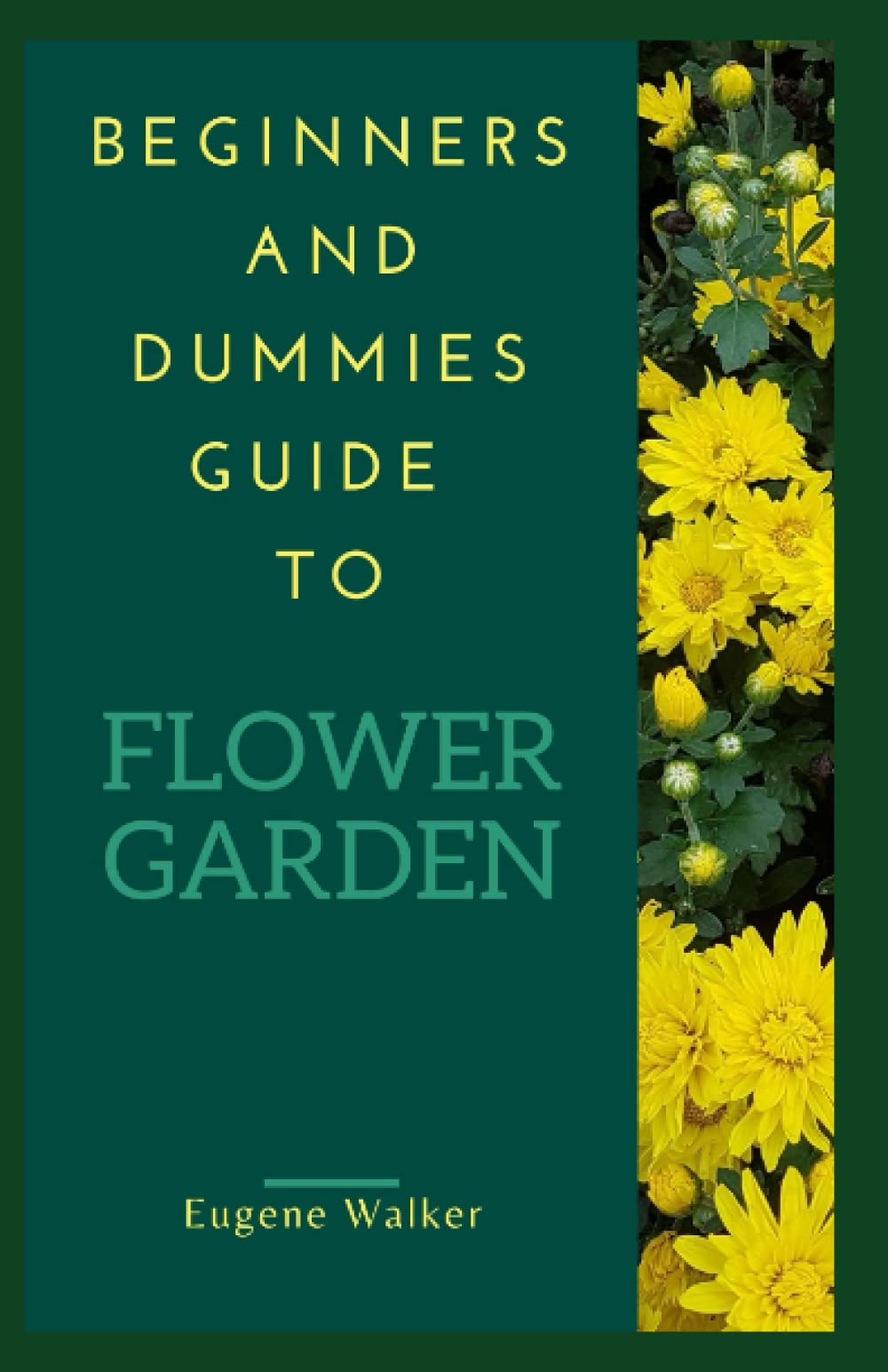 Beginners And Dummies Guide To Flower Garden | Desertcart INDIA