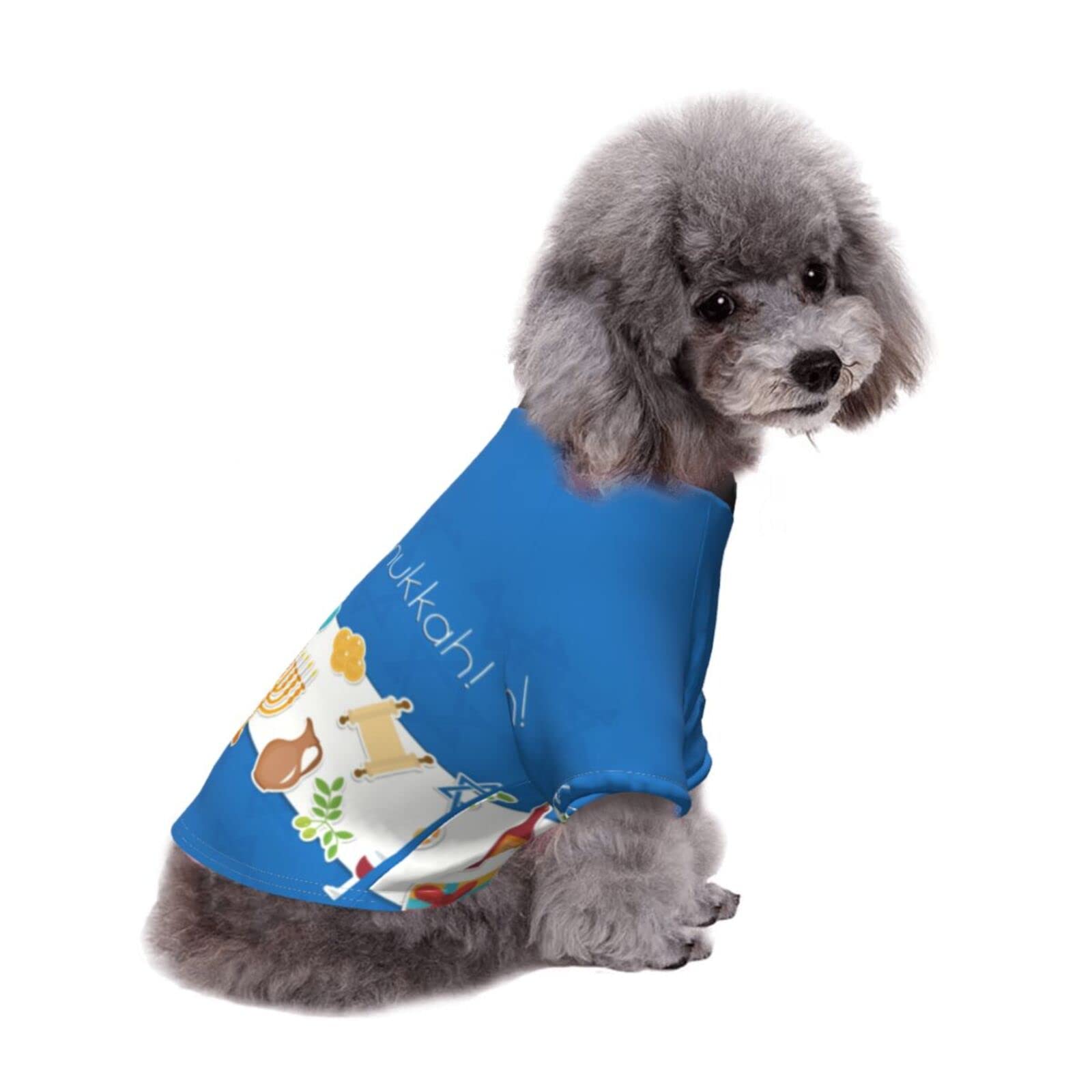 Chanukah Dog Costume