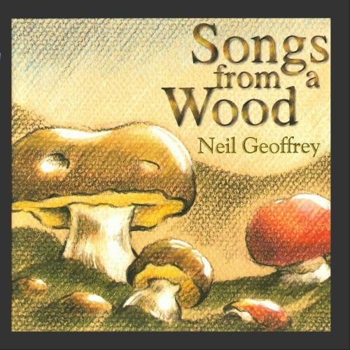 Amazon.com: Songs From a Wood: CDs & Vinyl