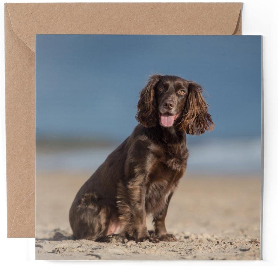 1 x Greeting Card Cocker Spaniel Puppy Dog - Blank Birthday Celebration ...
