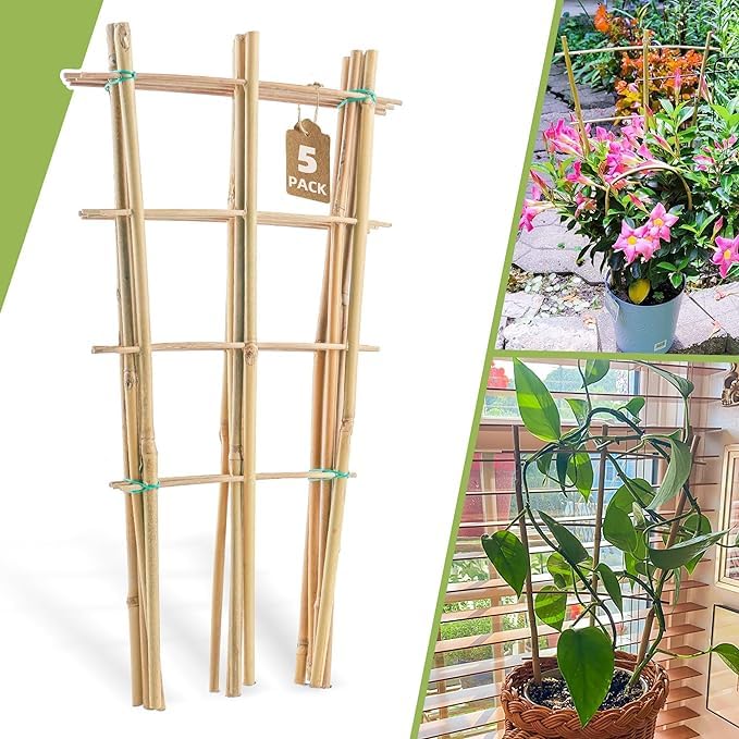 Biotolot 5 Pack 16" Bamboo Trellis for Climbing Plants-Natural Garden ...