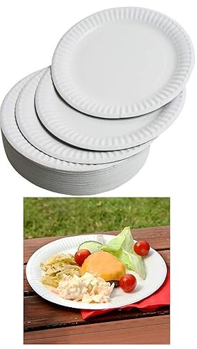 G4GADGET 30 Paper Plates 23cm - 9inch Paper Plates, Disposable Plates ...