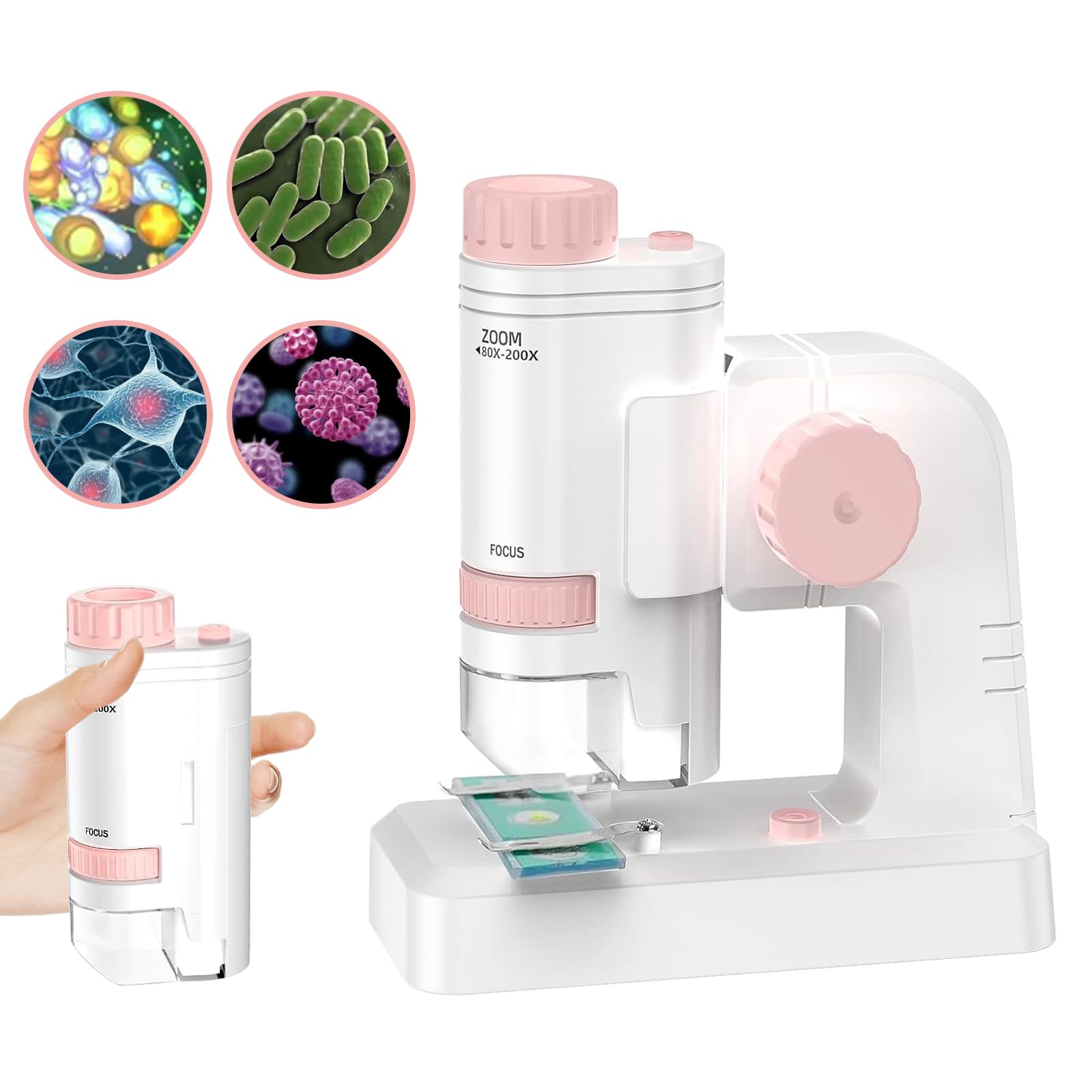 Exrp Pocket Microscope For Kids 80x 200x Dual Led Lighted | Desertcart ...