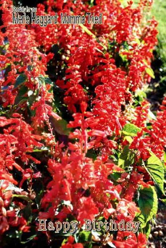 Merle Haggard: Momma Tried: CD Greeting Crad Happy Birthday - Amazon ...