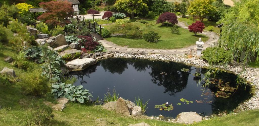 Building A Man Made Pond Man Made Pond" Images – Browse 29 Stock