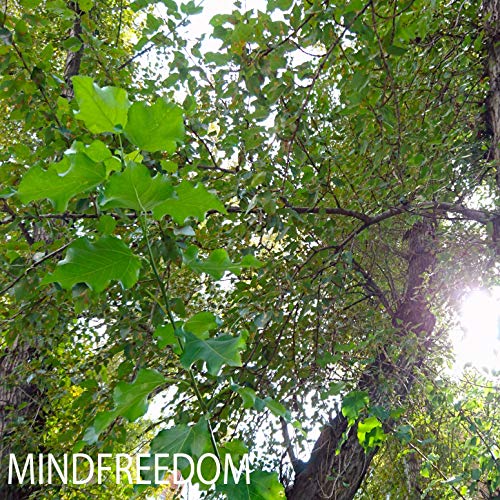 Amazon.com: Mindfreedom : Михаил: Digital Music