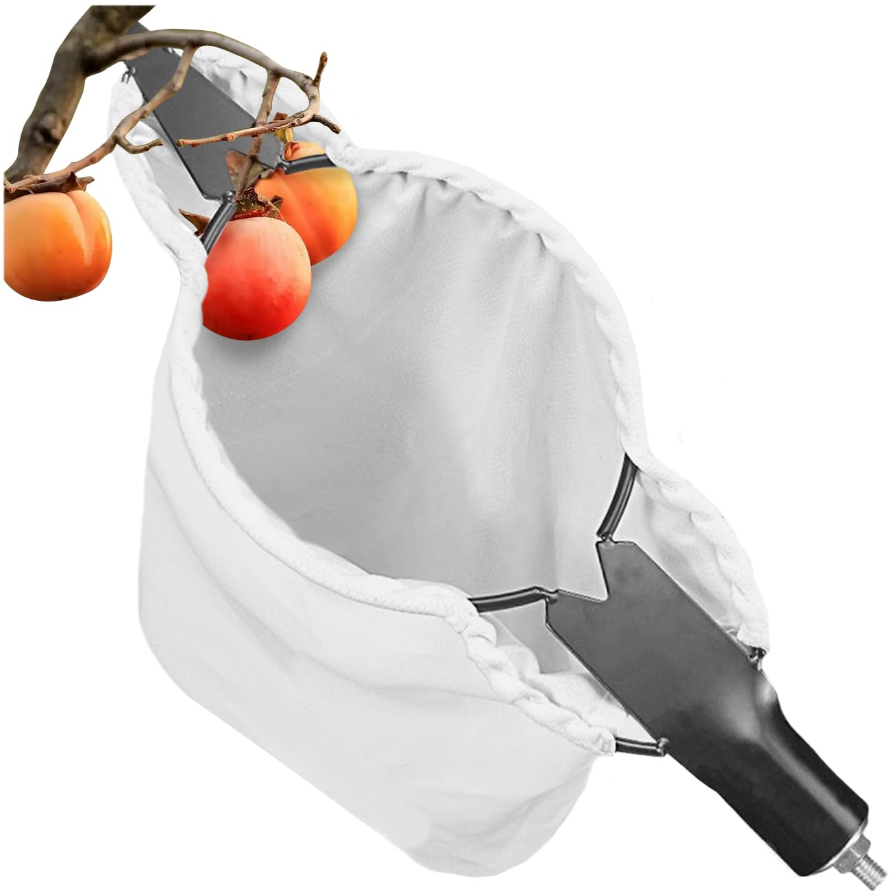 Amazon.com : SeLani Fruit Picker Head Harvest Basket with Branch Hook ...
