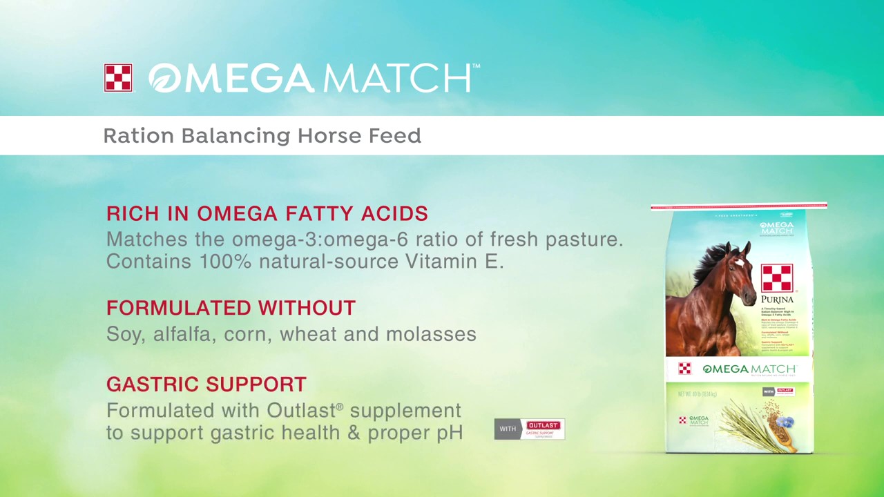 Watch Product Overview Purina Omega Match Ration Balancer Horse Feed on ...
