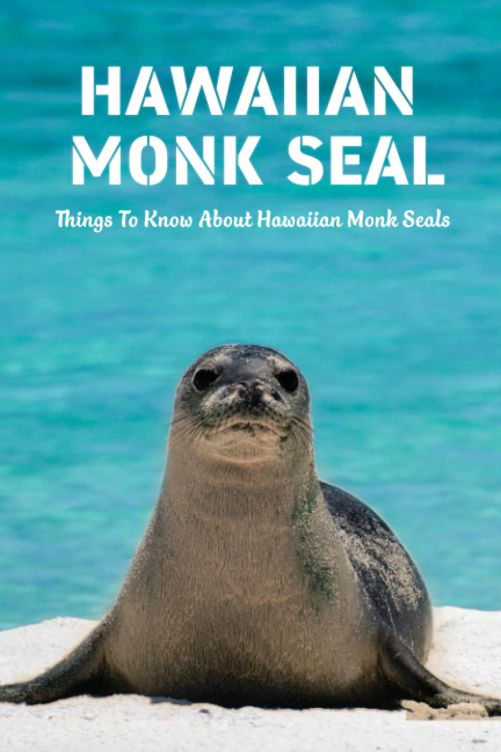 Kauai39s Hawaiian Monk Seals Everything You Need To Know WATCH: The