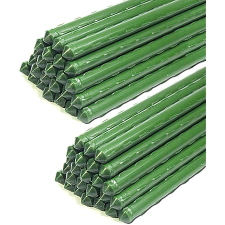 Amazon.com : Sunnyglade 48” Plant Stakes Garden Tomato Sticks Plant ...