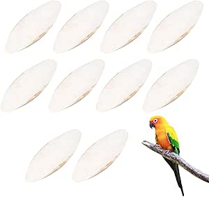 10Pcs Bird Cuttlebone Cuttlefish Bone, Bird Cage Food Cuttle Bone ...