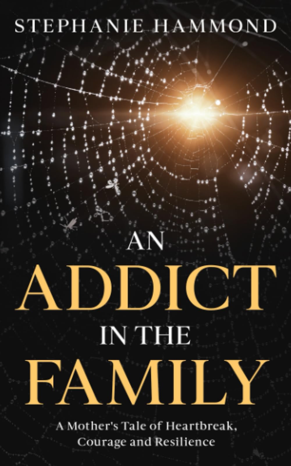 Amazon | An Addict in the Family: A Mother's Tale of Heartbreak, Courage and Resilience ...