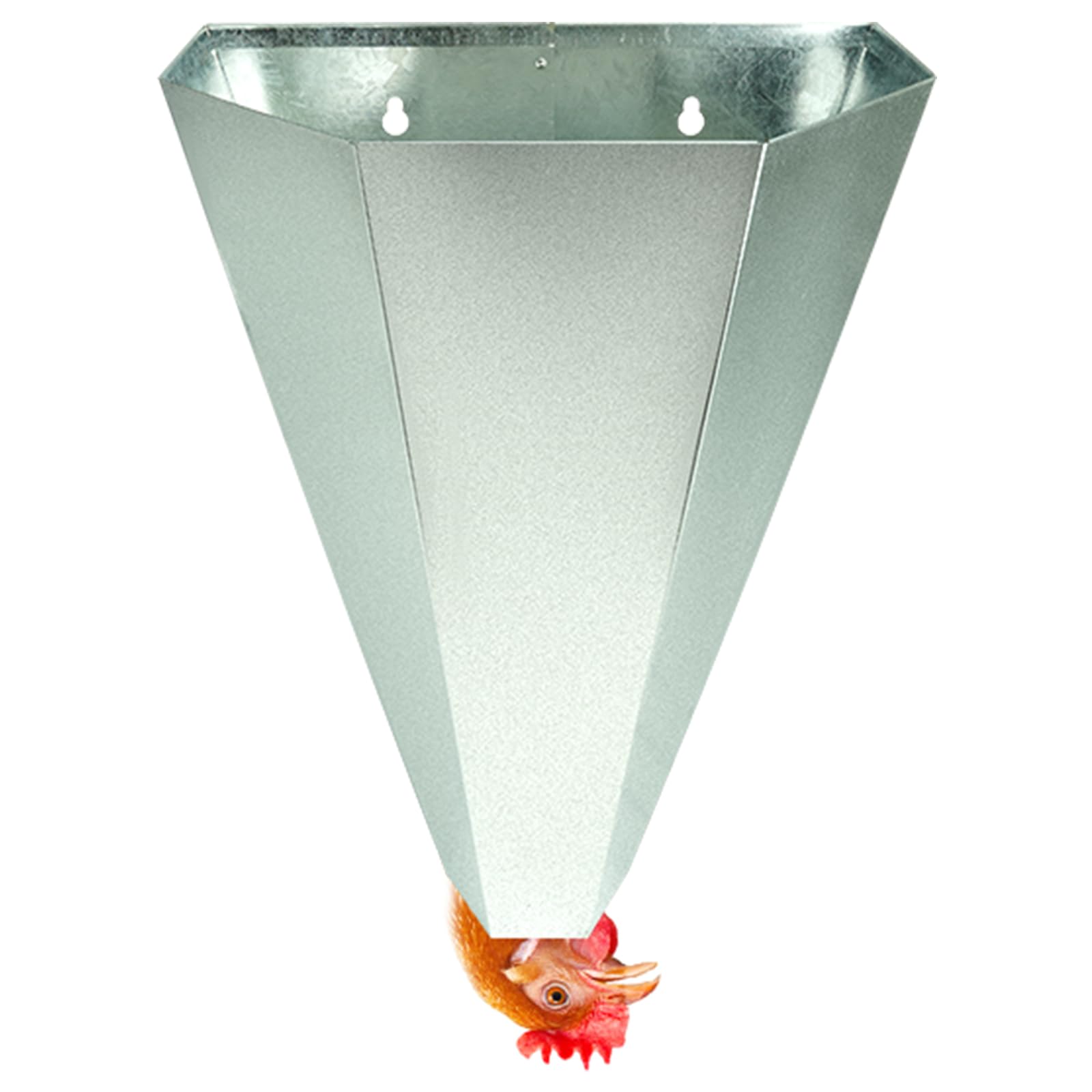 Amazon.com : DVECUE Chicken Cone Poultry Restraining Cone Medium ...