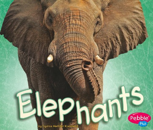 Elephants (Pebble Plus: African Animals): Kleinhenz, Sydnie Meltzer ...