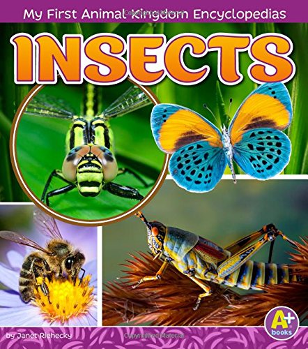 Insects (My First Animal Kingdom Encyclopedias) : Riehecky, Janet ...