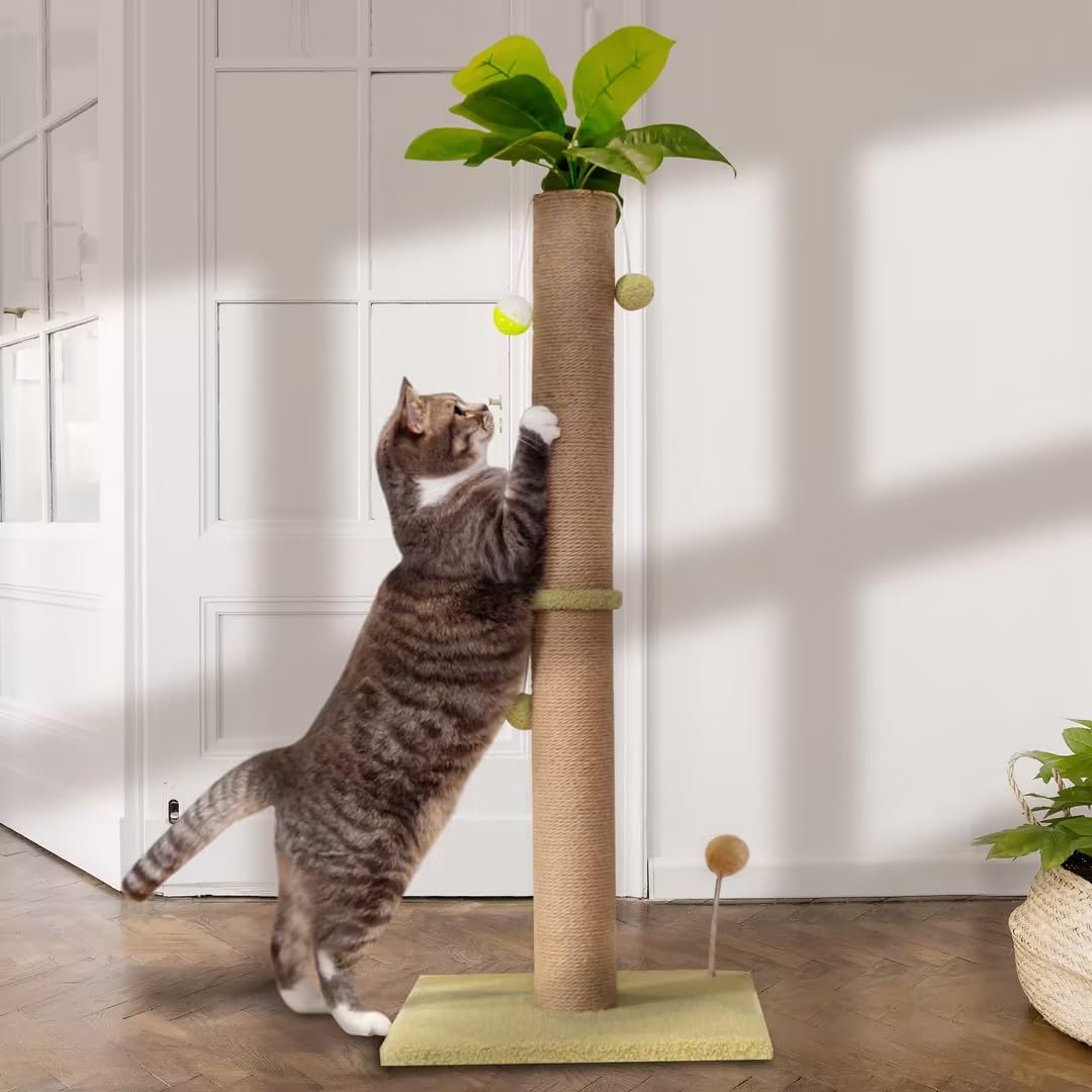 Amazon.com : Cat Scratching Post, 34'' Tall Scratching Post for Indoor ...