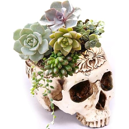 Amazon.com : VIVICOMFY Skull Planter Resin Skull Shaped Flower Pot ...