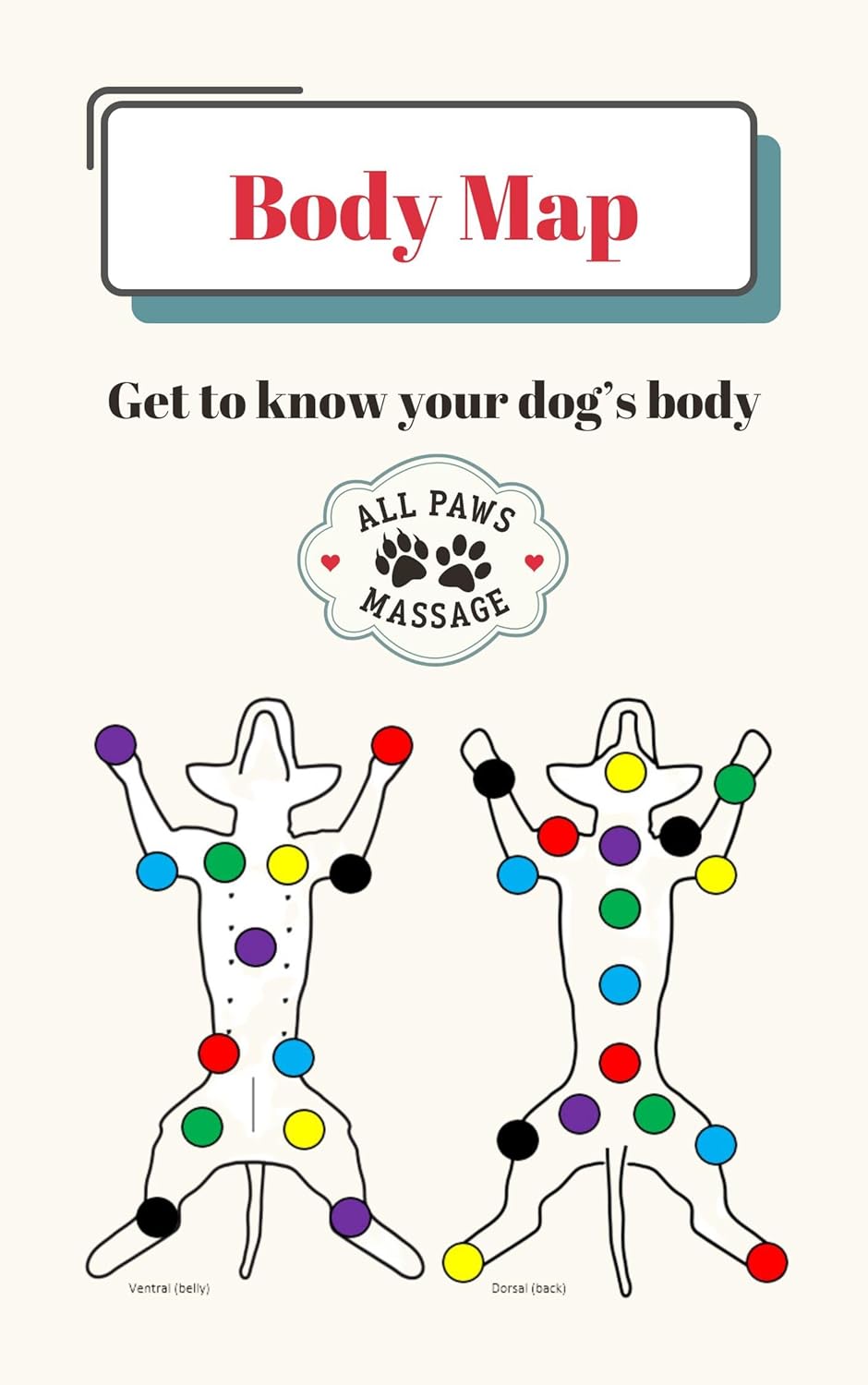 Body Map : Get to Know Your Dog's Body eBook : Banat, Marta: Amazon.co ...