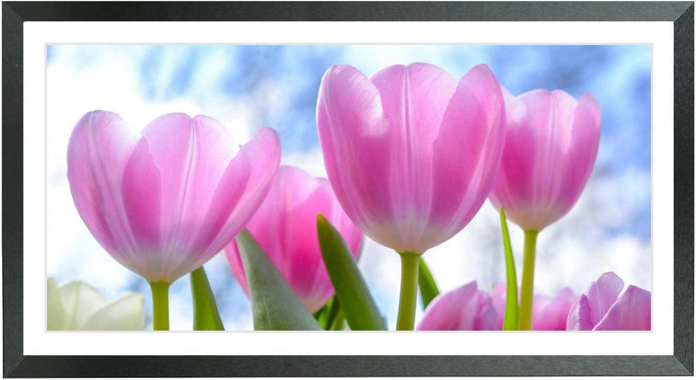 Amazon.com: Mxtallup 20x22 Picture Frames Solid wood,Display Pictures ...