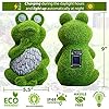 Amazon.com: Shefio Large Frog with Light Up Eyes for Outdoors - Solar ...
