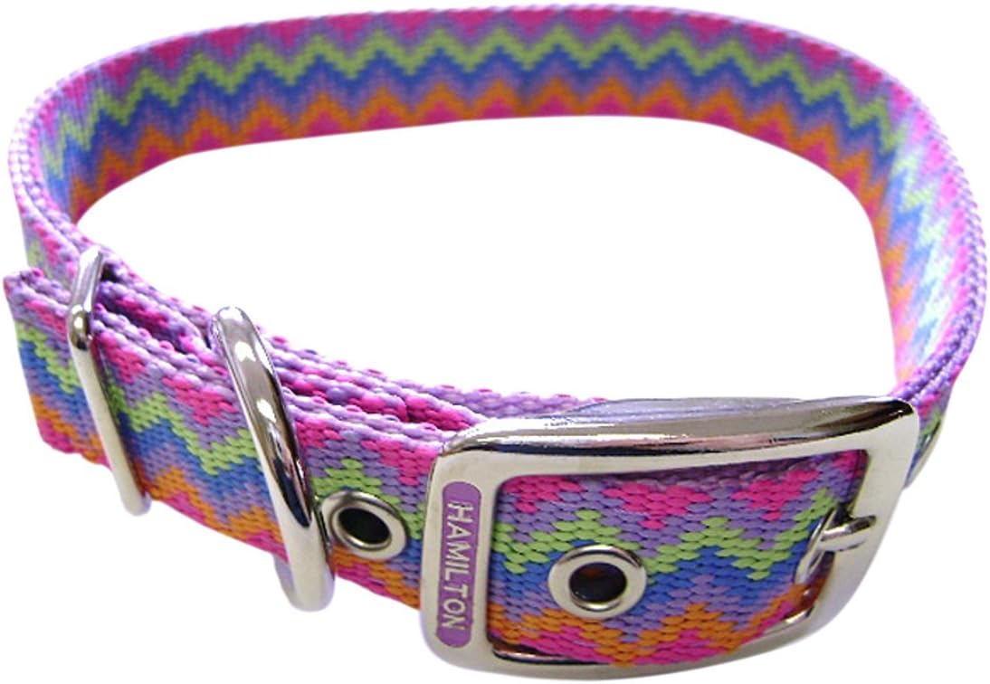 Amazon.com : Hamilton Double Thick Nylon Deluxe Dog Collar, 1-Inch by ...