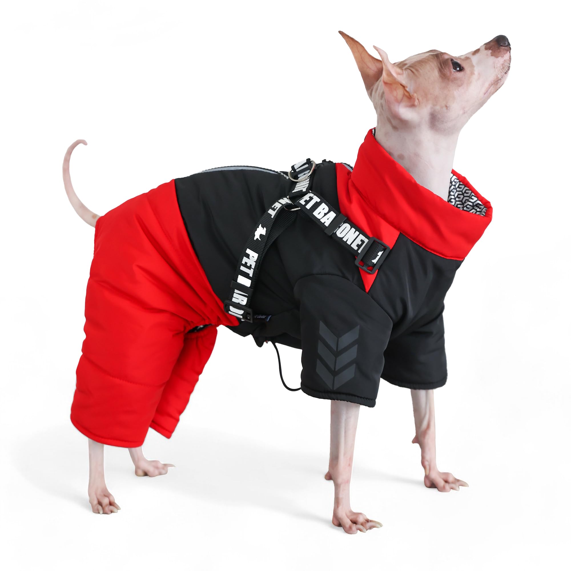 Amazon.com : PETBARONET Dog Winter Coat with Harness, Reflective Dog ...