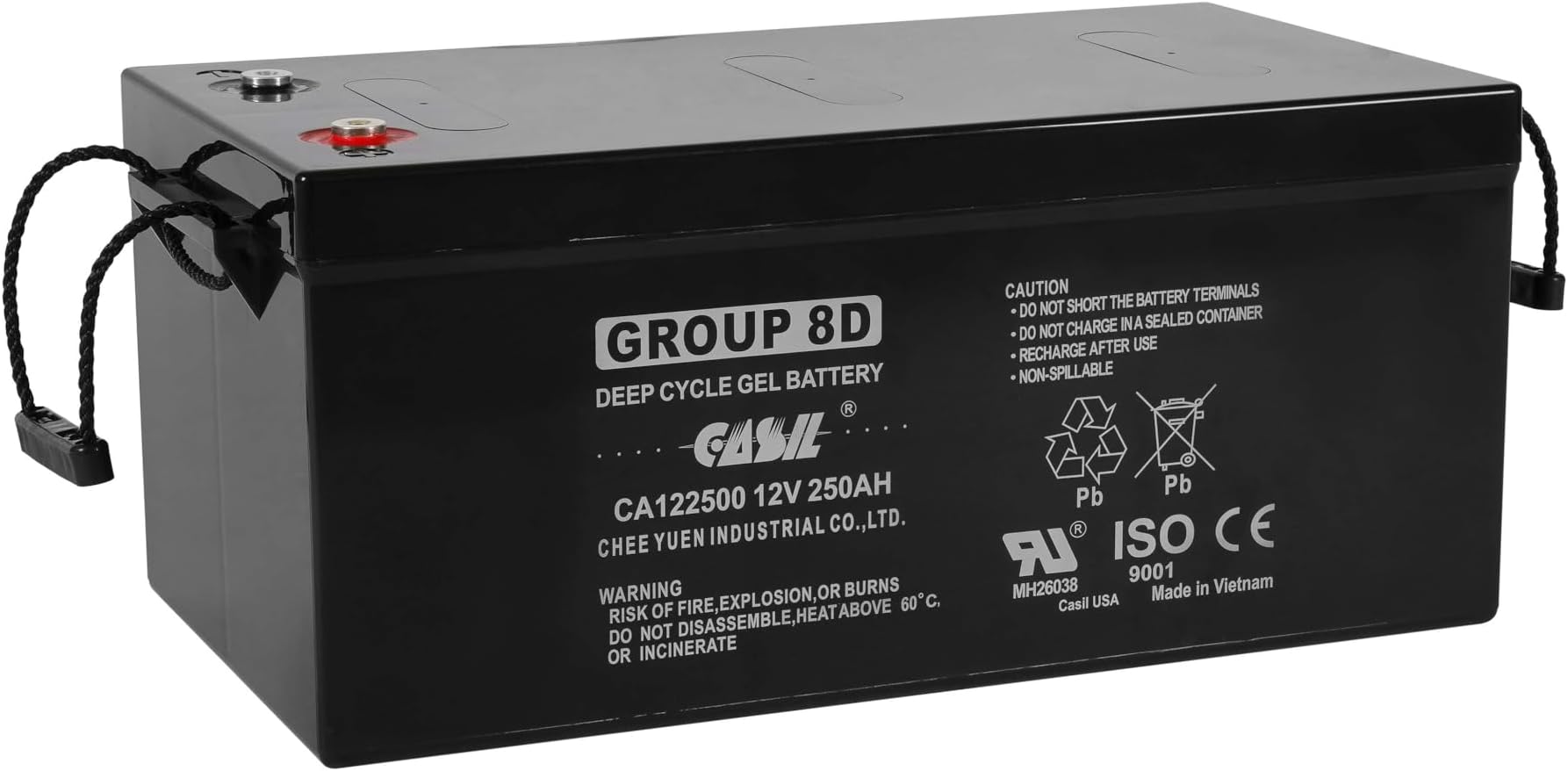 Amazon.com: Casil 12v 250ah AGM Deep Cycle Sealed Lead Acid Group 8D ...