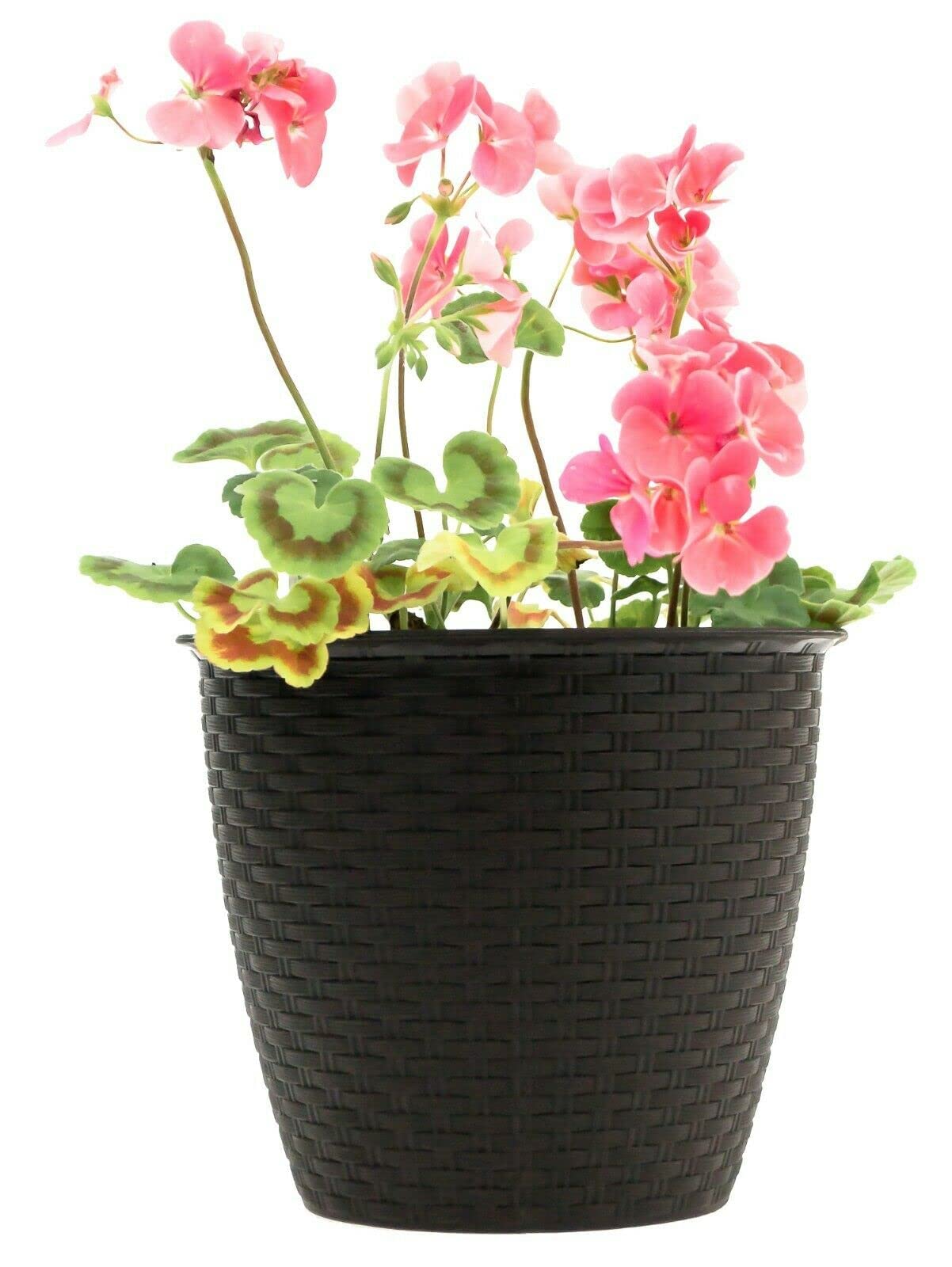 St@llion 20cm Plastic Round Rattan Style Garden Flower Plant Pots ...