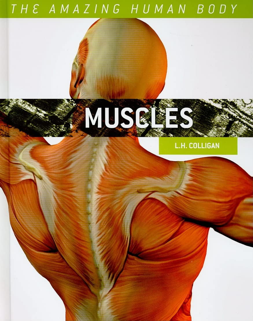 Amazon.com: Muscles (The Amazing Human Body): 9780761440383: Colligan ...
