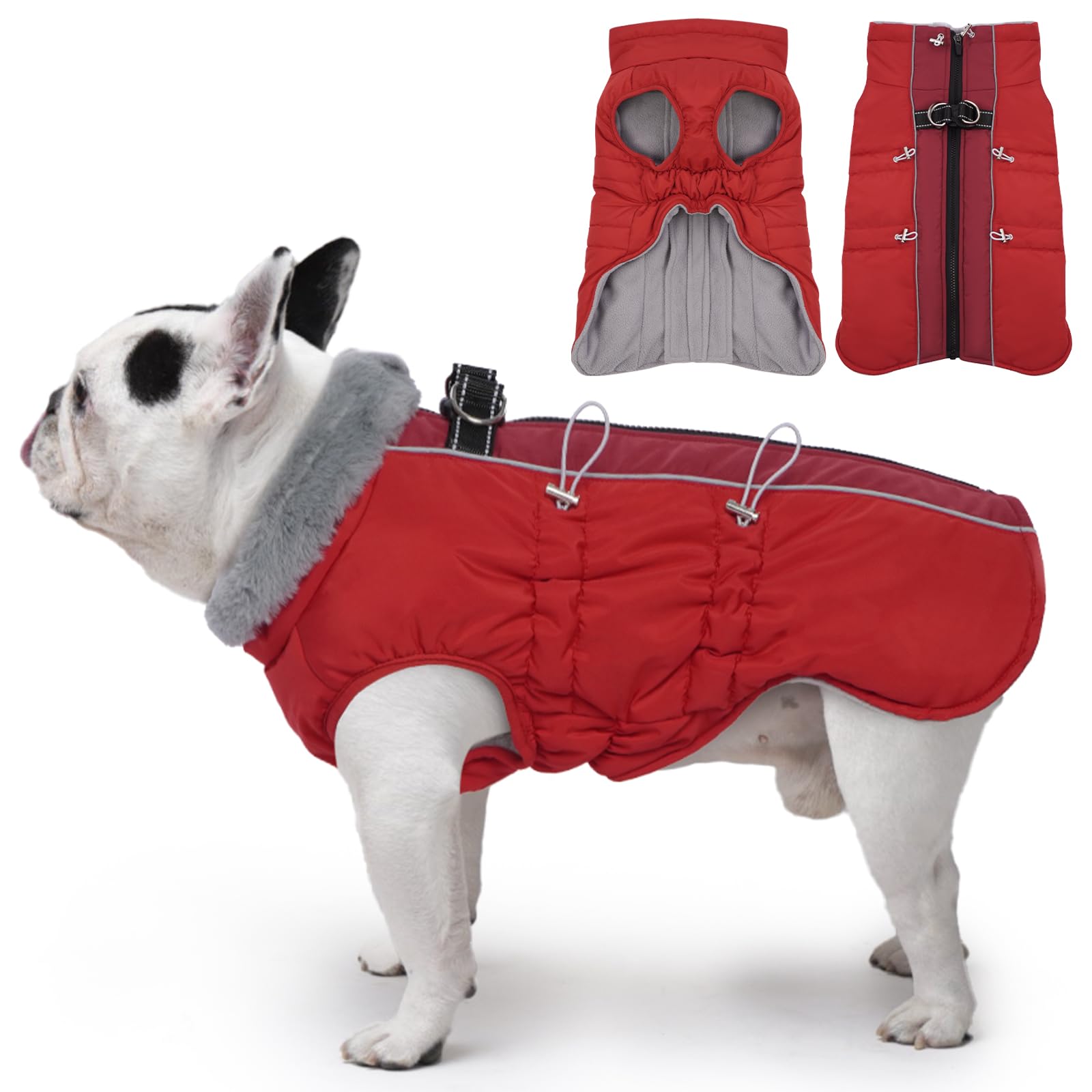 Amazon.com : IKIPUKO Dog Coat Dog Winter Jacket-Large, Warm Zip Up ...