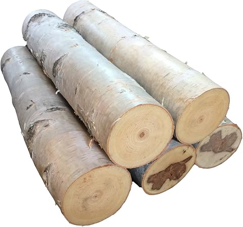 Amazon.com: Large Birch Fireplace Log Set of Five : Home & Kitchen