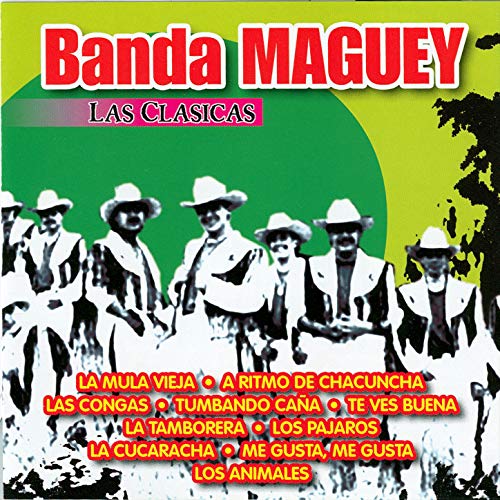 Las Clasicas de Banda Maguey en Amazon Music - Amazon.es