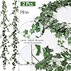 Amazon.com: mizii 2 Strands Artificial Vines Ivy Garland 79" Fake Vine with Silk Green Leaves ...