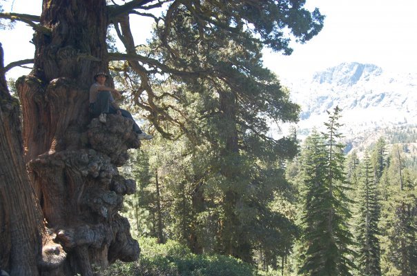 Amazon.com: Jacob Heim: books, biography, latest update