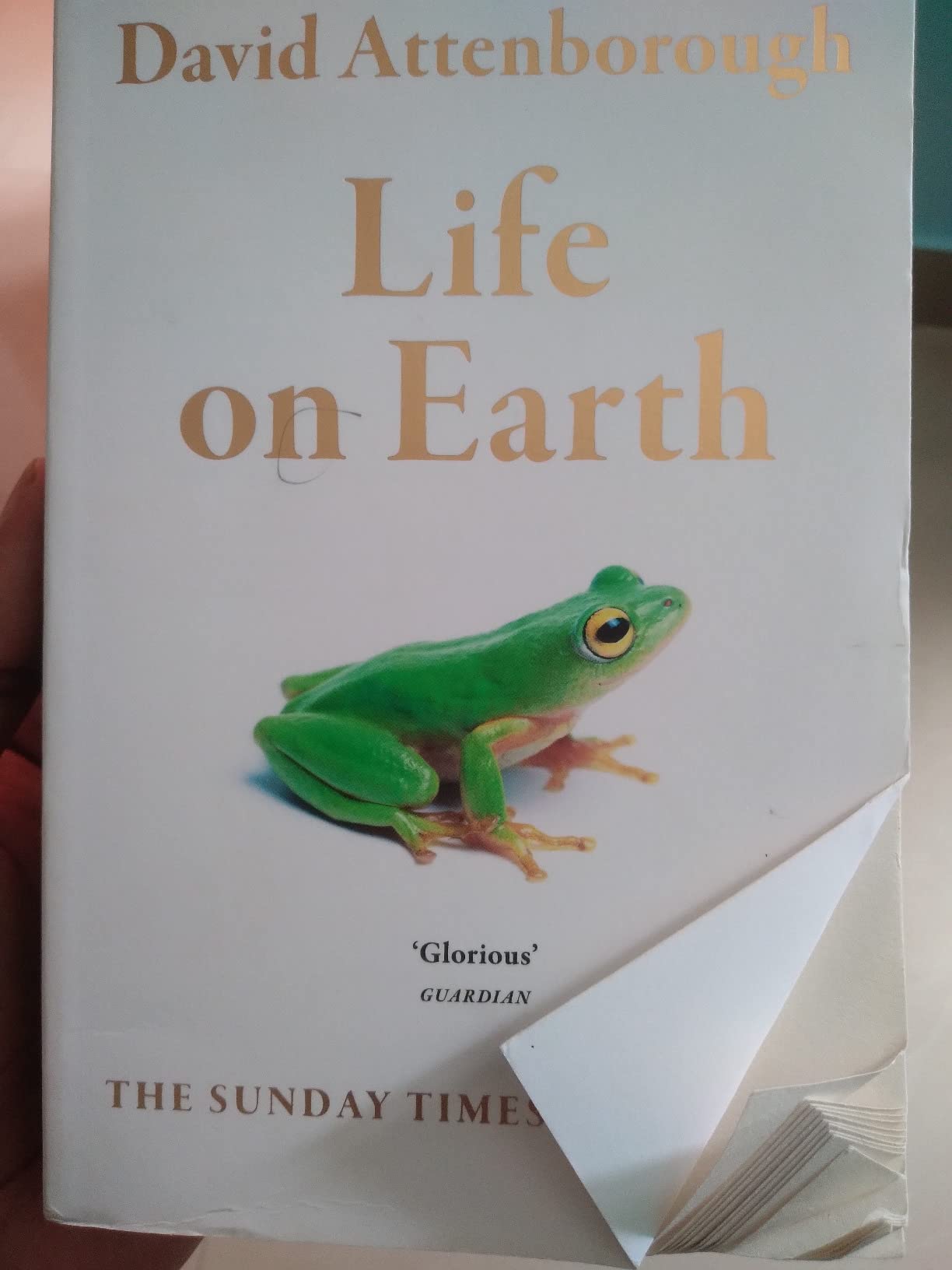 Buy Life on Earth Book Online at Low Prices in India | Life on Earth ...