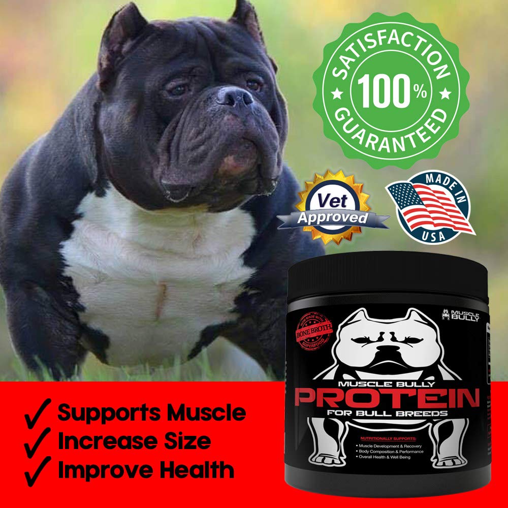 Muscle Bully Protein Supplement for Dogs - Supports Muscle Growth ...
