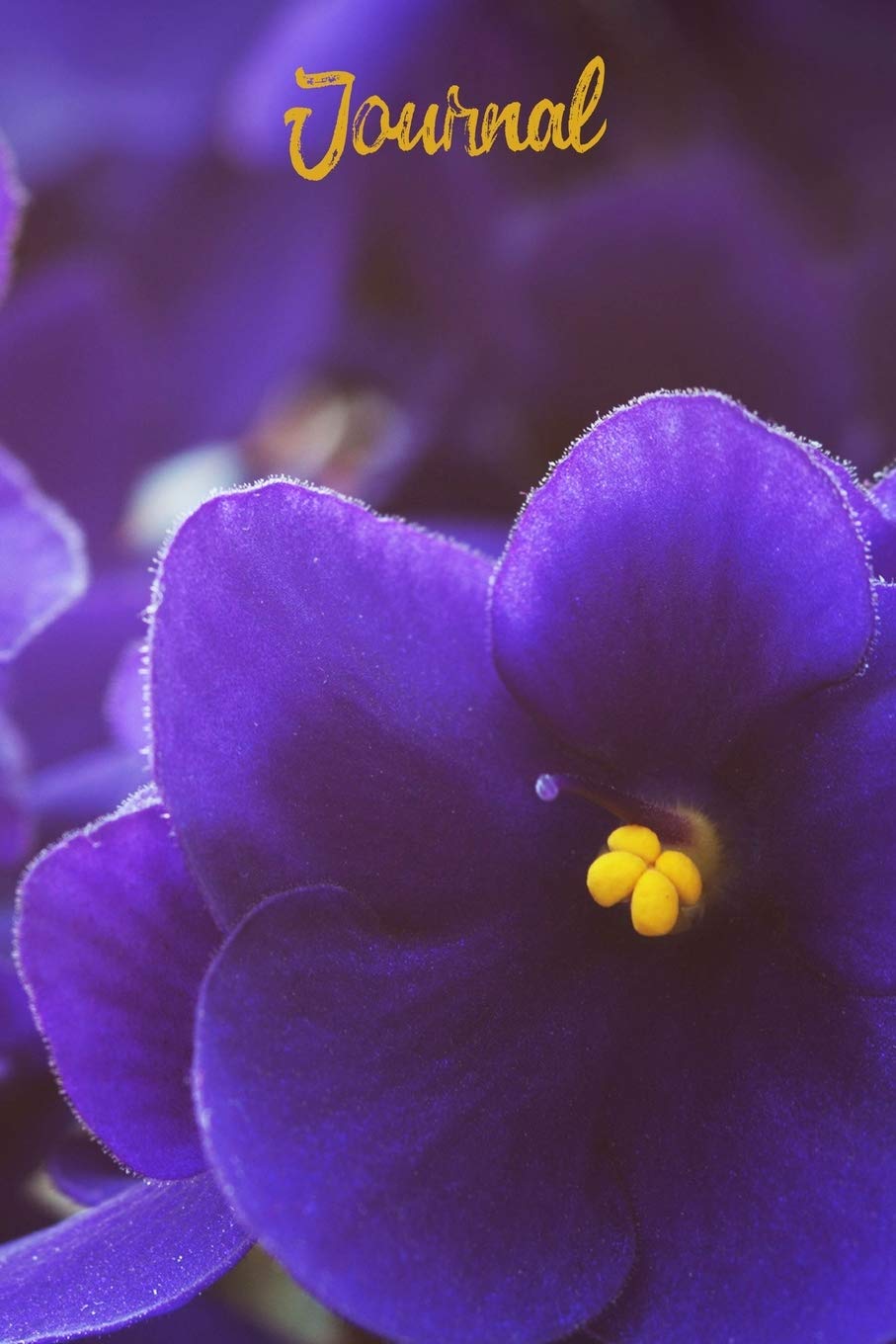 Journal: Purple African Violet Notebook Journal|6x9|120 Pages|Wide ...
