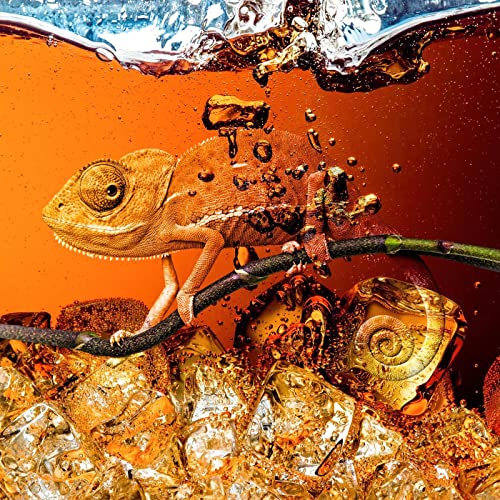 Zack Dornfeld | Instagram | Linktree