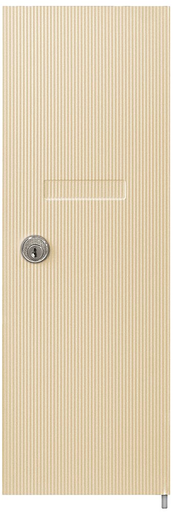 Amazon.com: Salsbury Industries 3551SAN Replacement Door and Lock for ...