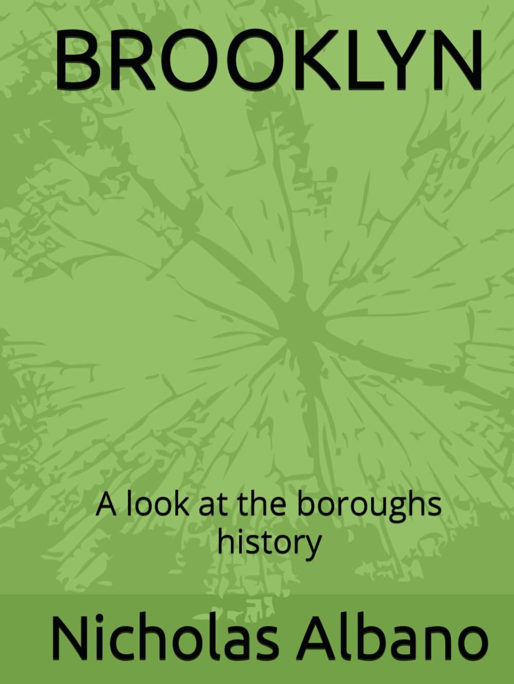 BROOKLYN: A look at the boroughs history: Albano III, Nicholas ...