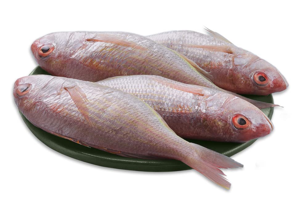 Sankara Fish