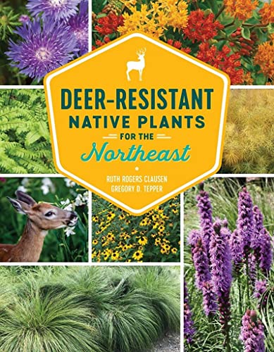 The Best native plants for deer : Recommended For 2022 - licorize