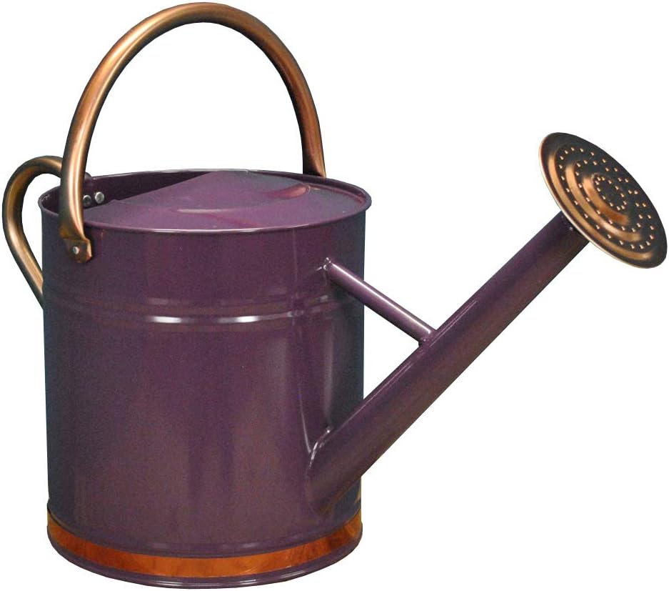 Spear & Jackson 9LWCKEW Kew Gardens Collection French Style Watering ...