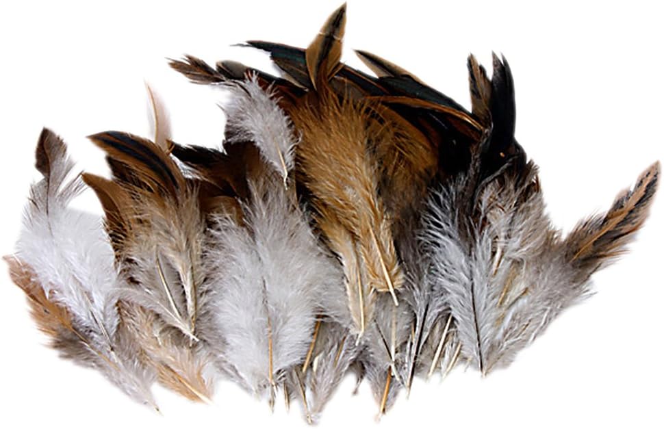 50 Pcs Rooster Cock Feather for Hat and Headgear Decor DIY Craft ...