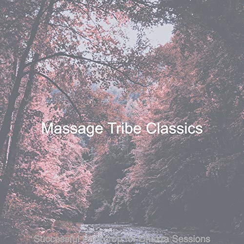 Amazon.com: Successful Backdrop for Chakra Sessions : Massage Tribe ...