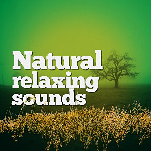 Natural Relaxing Sounds by Best Nature Sounds for Relaxing, Relaxing ...