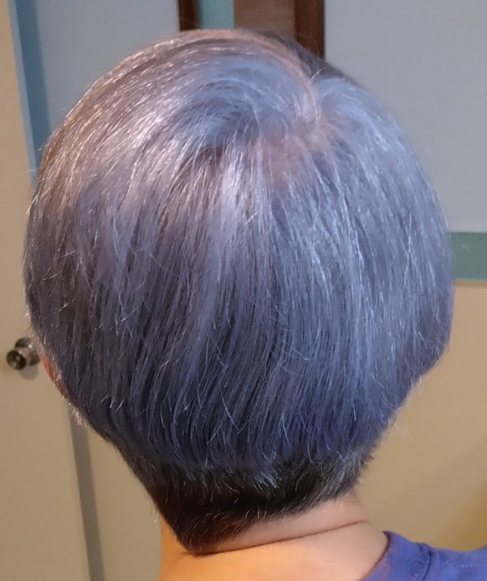 $2/mo - Finance L’Oréal Paris Feria Multi-Faceted Shimmering Permanent ...