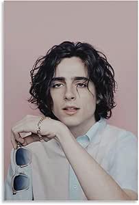 Amazon.com: NUEYES Timothee Chalamet Poster Painting On Canvas Wall Art Poster Scroll Picture ...