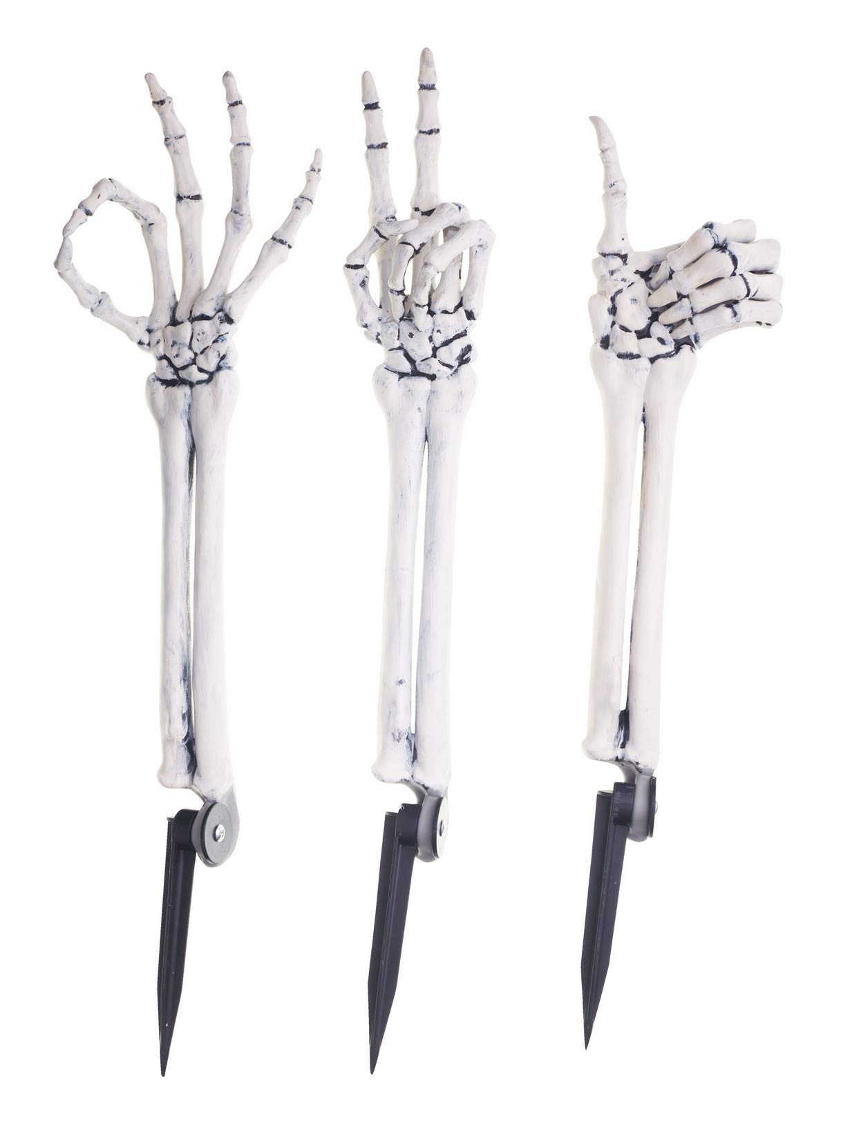 Skeleton Arm And Hand