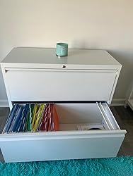 Amazon.com : Amazon Basics Hanging Organizer File Folder, Letter Size ...